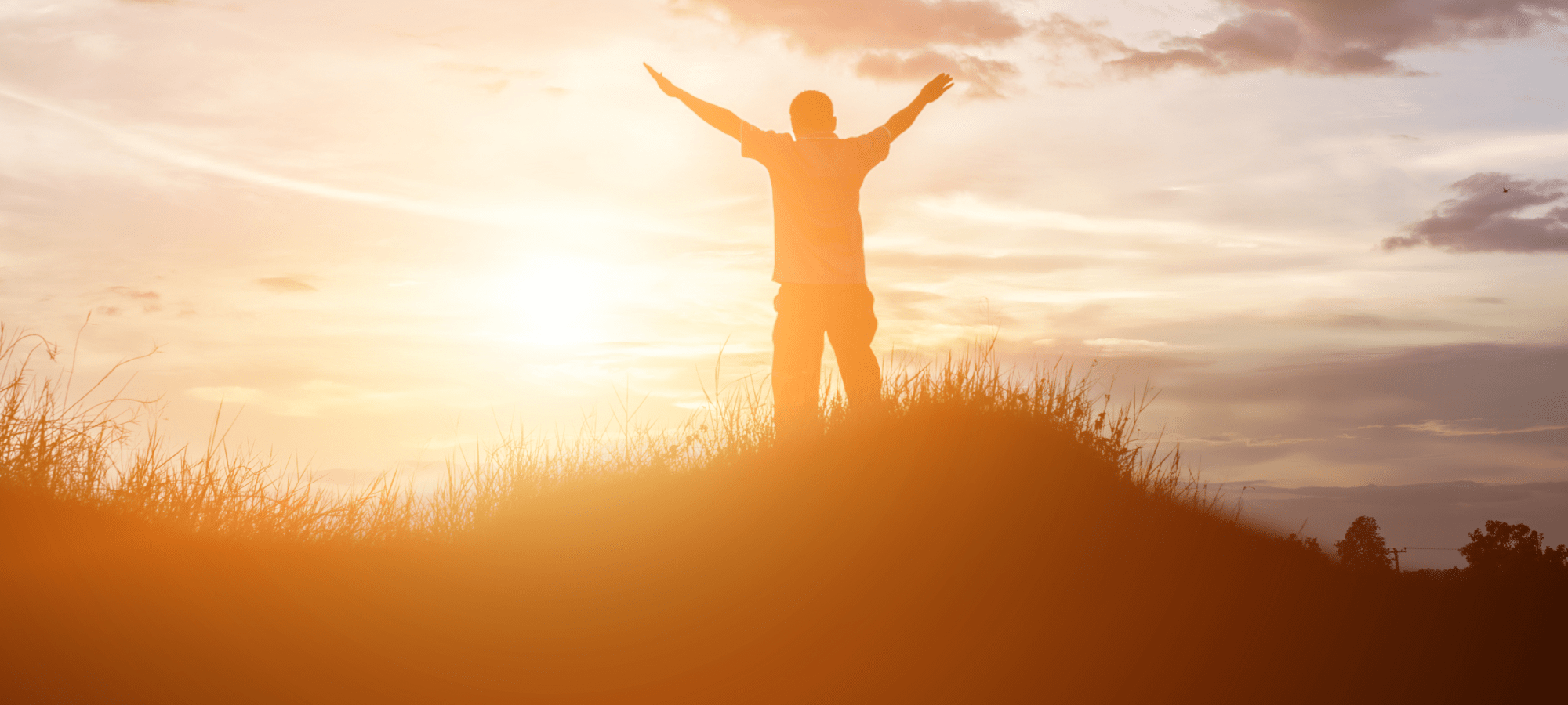 Success Made Simple Dariohealth